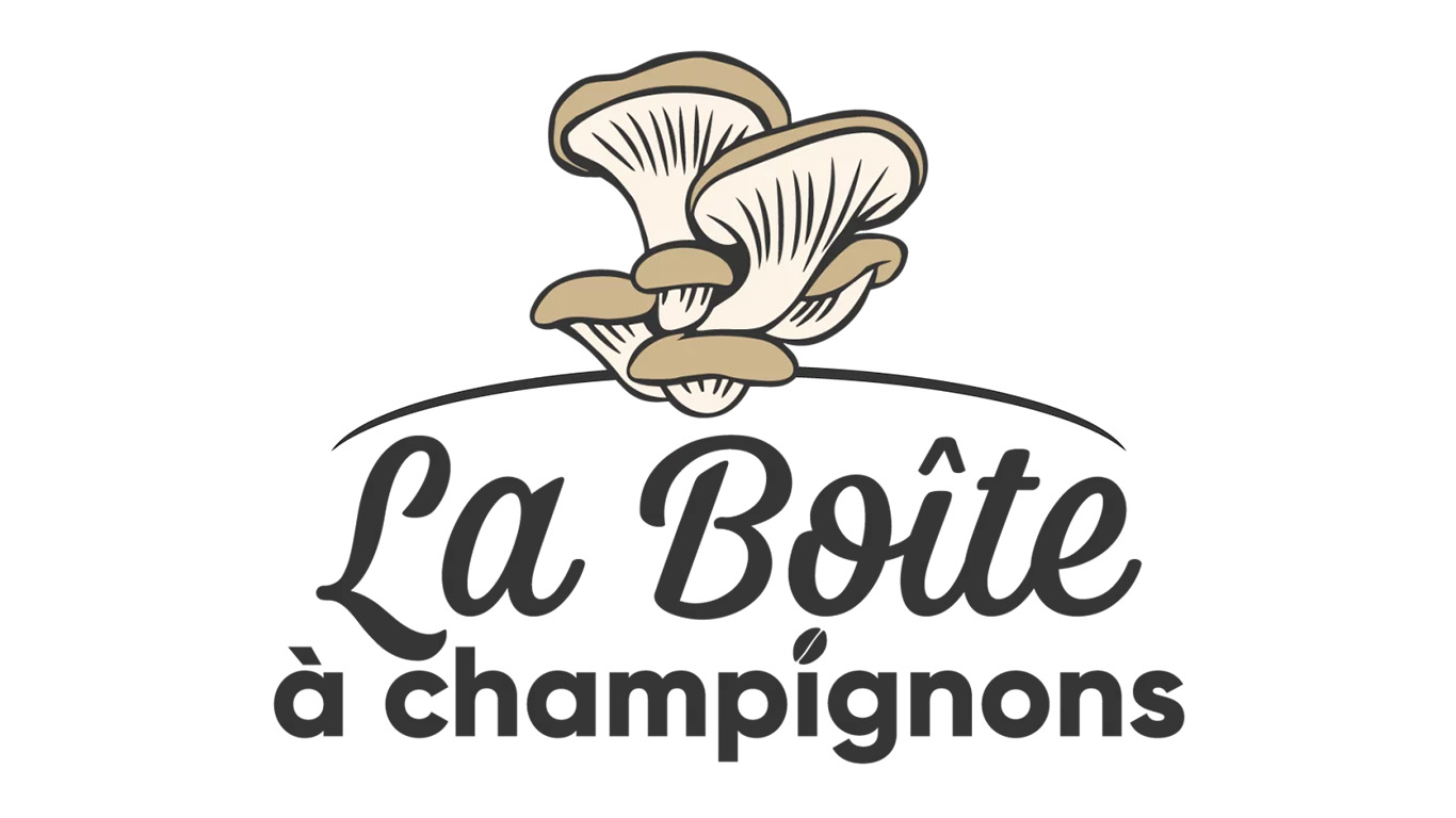 Code Mycelium | La Boîte à Champignons